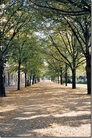 Things That Inspire: Allée of trees